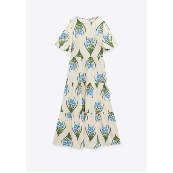Zara | Dresses | Zara Balloon Sleeve Maxi Dress | Poshmark
